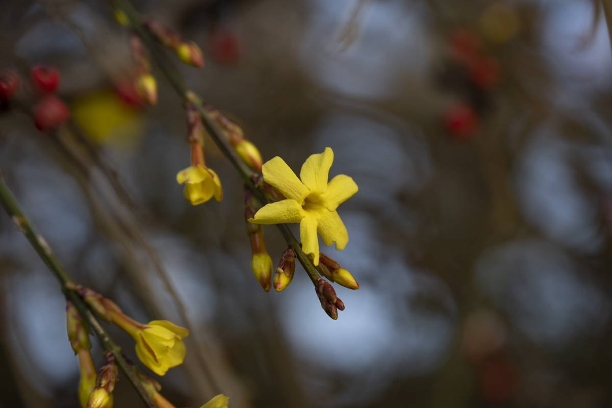 Straß im Strassertale