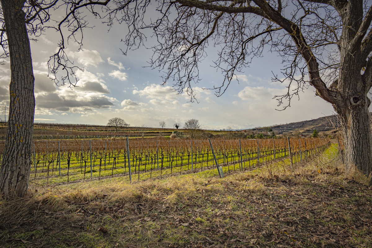 Straß im Strassertale