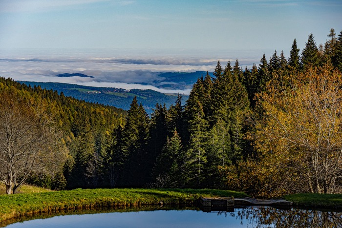 Steyerberger Schwaig